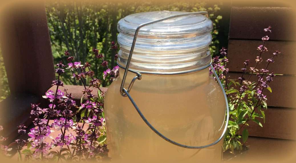 Vinegar Lemonade Oregon Trail Recipe - Janalyn Voigt